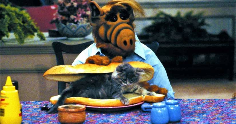 Ryan Reynolds is Bringing Alf Back for His Maximum Effort Channel
