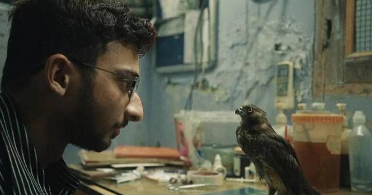 All That Breathes Review: A Beautiful, Eye-Opening Documentary That ...