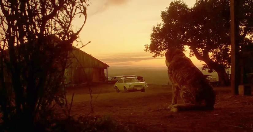 Why Cujo Has One of the Scariest Shots In Horror Movie History