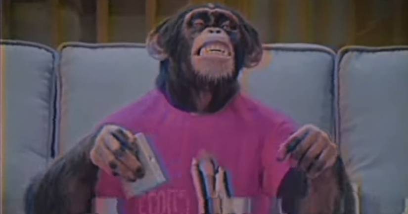 What Inspired the Gordy Scene in Jordan Peele's Nope?