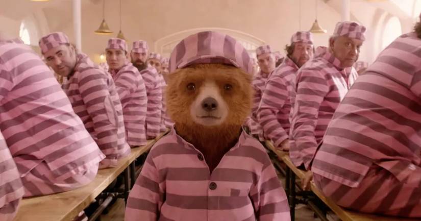 The Best Bear Movies, Ranked