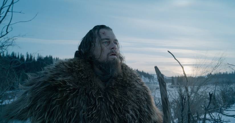 The Best Bear Movies Ranked