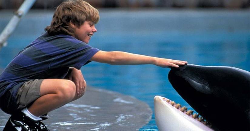 12 Wonderful Animal Movies That Will Touch Your Heart