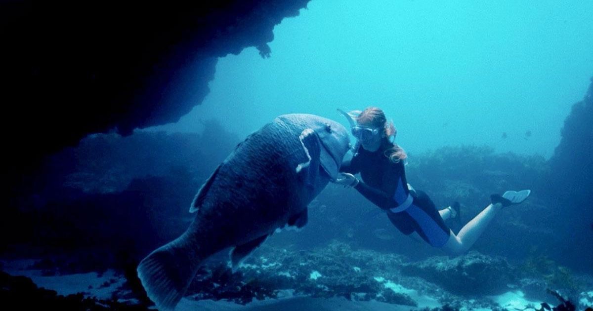Blueback Review: This Is One Scenic, Heartwarming Film to Savor