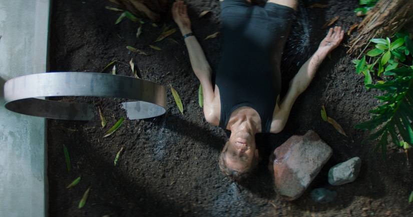 Inside Review: Great Art and a Perfect Willem Dafoe Dazzle in Survival ...