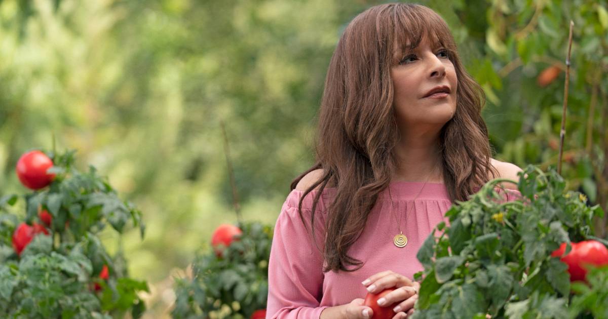 Star Trek: Picard Season 3 Images Tease the Return of Imzadi