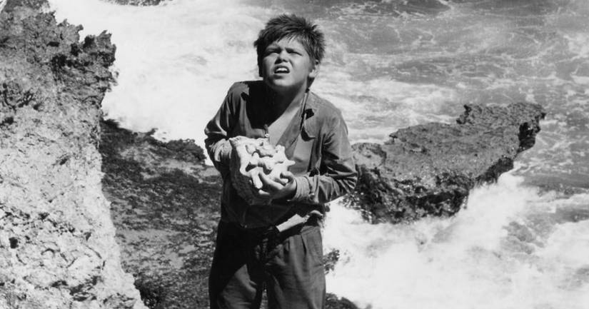 Why We Need a Modern Lord of the Flies Remake
