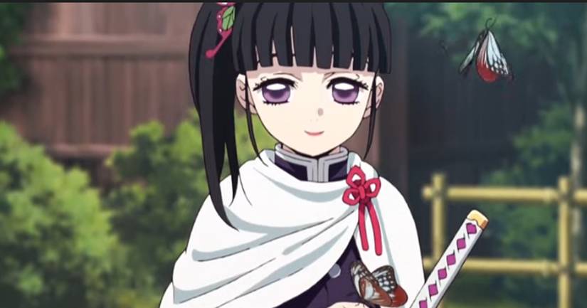 Demon Slayer Cast and Character Guide