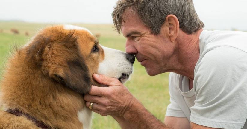 10 Movies that Teach Us Important Lessons About Life