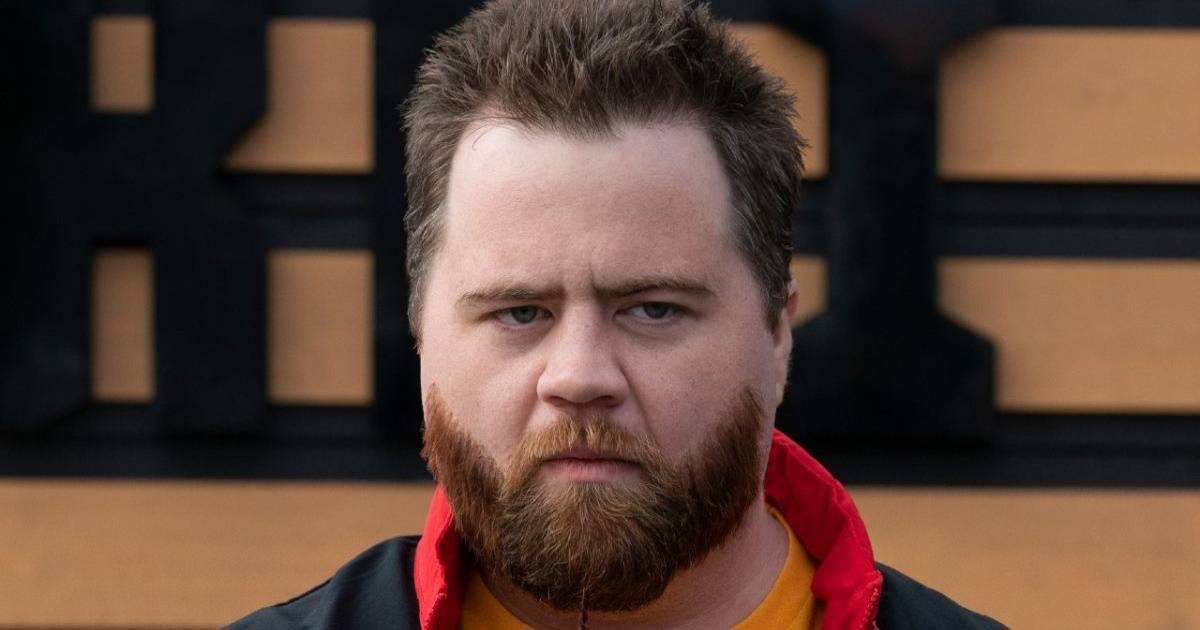 Best Paul Walter Hauser Performances, Ranked
