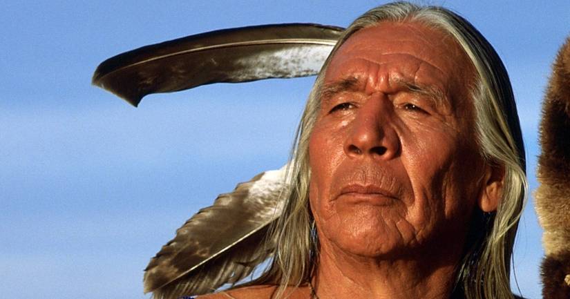 Dances with Wolves Cast: Where They Are Today