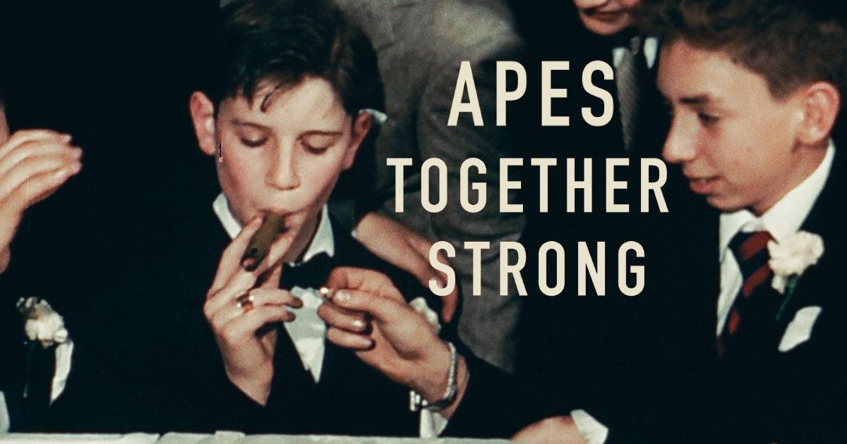 Apes Together Strong Review: A Funny and Frightening Exploration of the ...