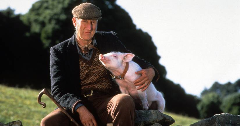 The Greatest Australian Film Directors of All Time