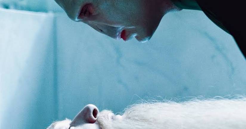 Harry Potter: Ralph Fiennes’ Best Moments as Voldemort, Ranked