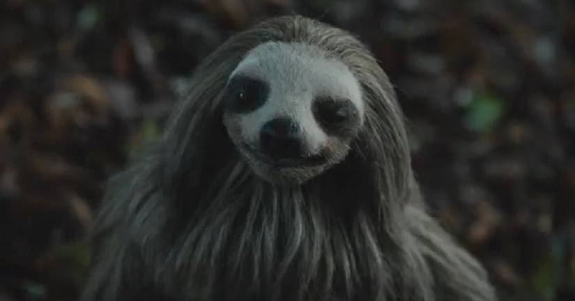 Slotherhouse Review | An Incredibly Entertaining and Bonkers Slasher ...