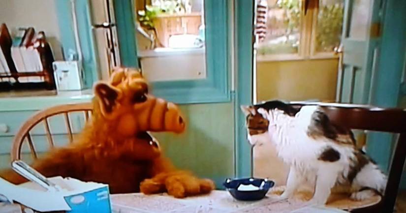 10 TV Shows Every ‘80s Kid Remembers