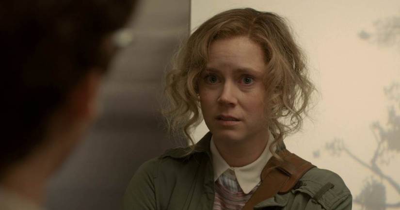 Amy Adam’s 10 Best Movies, Ranked by Rotten Tomatoes