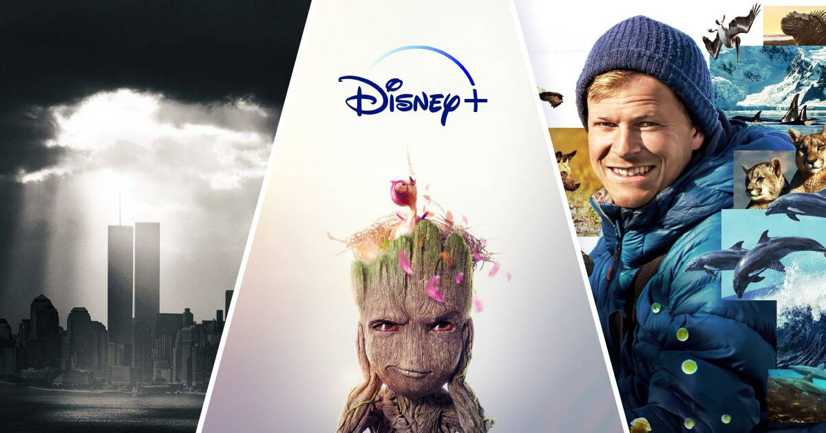 Every TV Series Coming to Disney+ In September 2023
