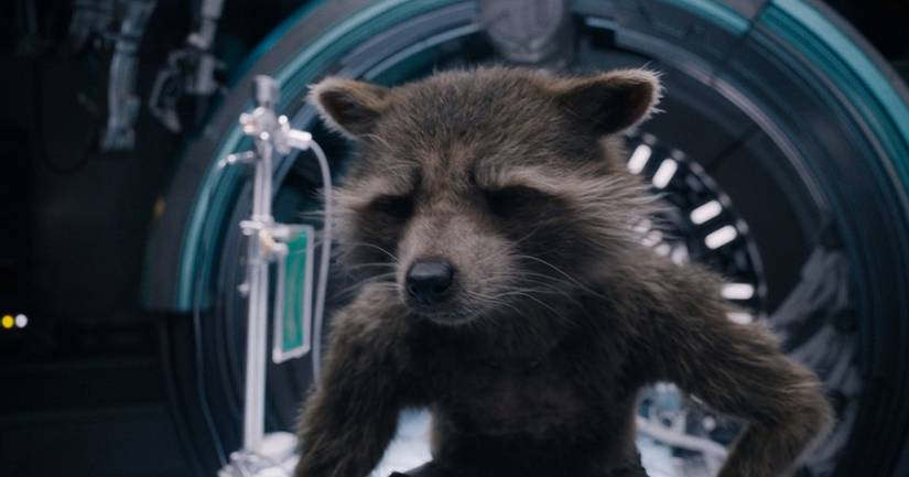 Guardians of the Galaxy: Rocket Raccoon's Best Quotes the Franchise, Ranked