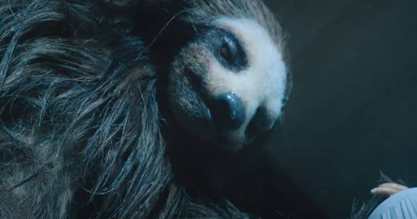 Slotherhouse Review | An Incredibly Entertaining and Bonkers Slasher ...