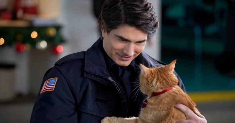 The 11 Best Hallmark Movies About Animals