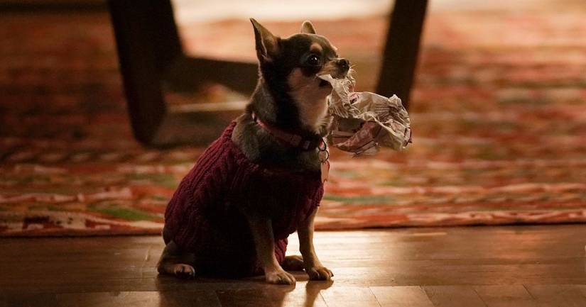 Will Trent Cast and Character Guide