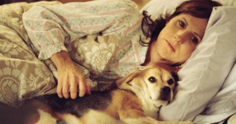 The 15 Saddest Movies Where the Dog Dies