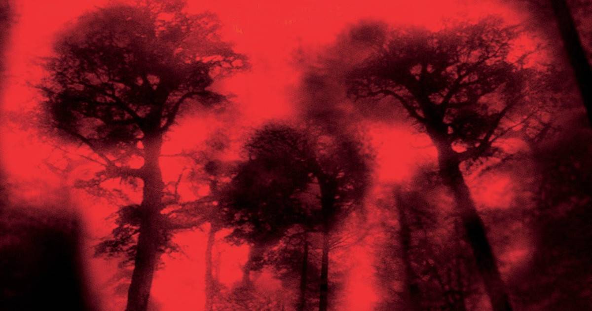 Why Cabin Fever Made Eli Roth the Next Big Thing In Horror
