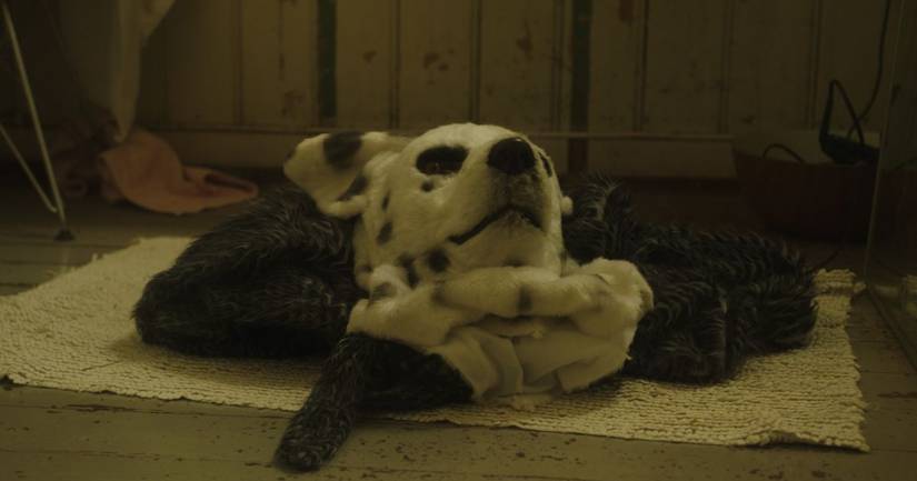 Good Boy: Most Thrilling Moments, Ranked