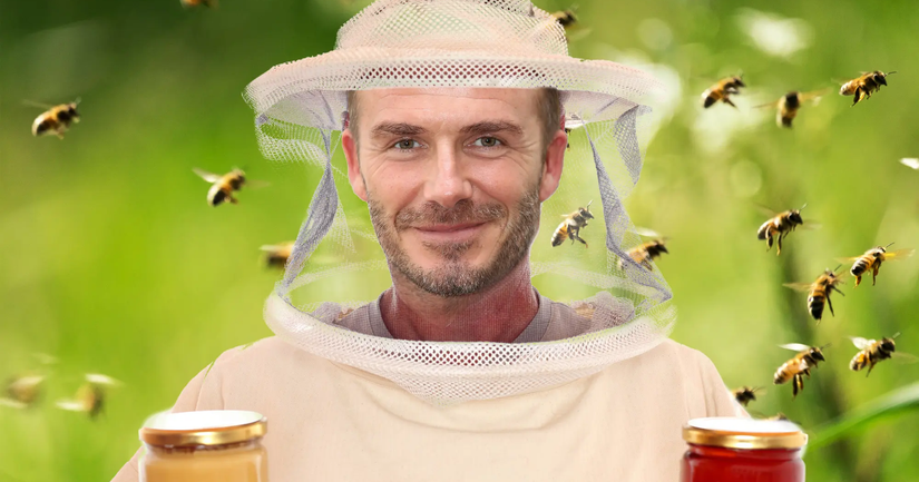 10 Things We Learned From Netflix's Beckham