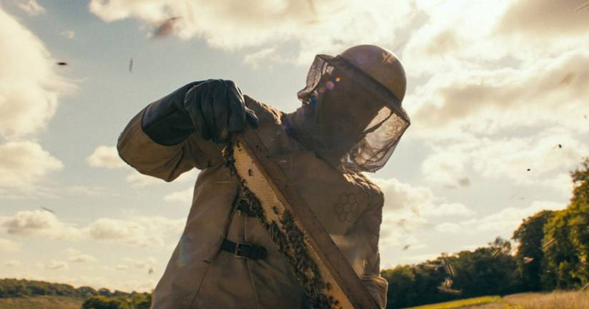 The Beekeeper: Plot, Cast, Release Date, and Everything Else We Know