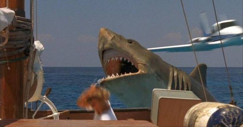 10 Ways Jaws: The Revenge Is More Compelling Than You Remember