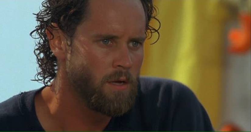 10 Ways Jaws: The Revenge Is More Compelling Than You Remember