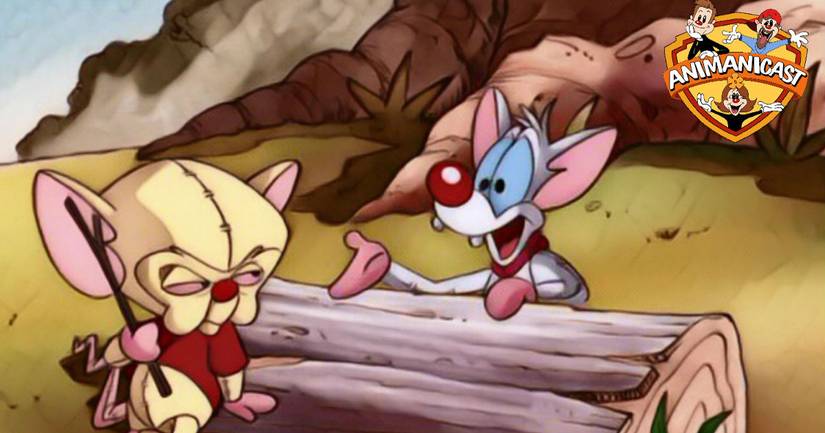 Pinky and the Brain's Best Episodes, Ranked