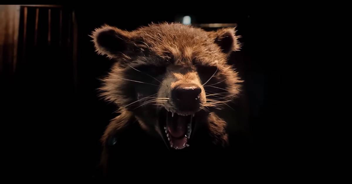 GOTG Vol. 3: Bradley Cooper Used Emotional Recall to Pull Off Rocket ...