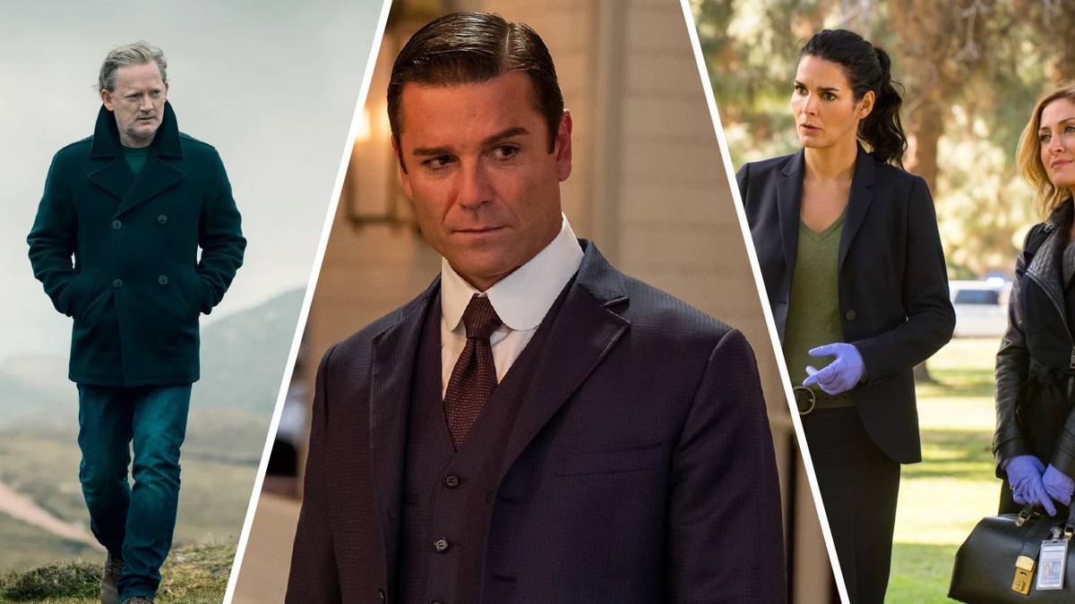 20 Detective TV Series Based On Crime Novels