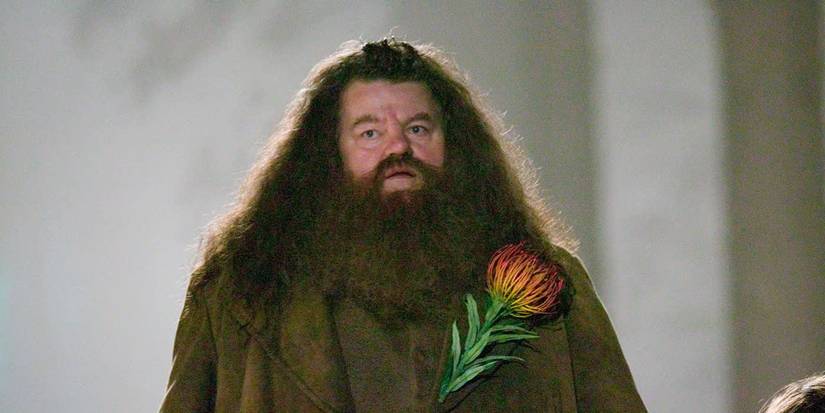 New 'Harry Potter' Star Nick Frost Wants Hagrid To Be Different From ...