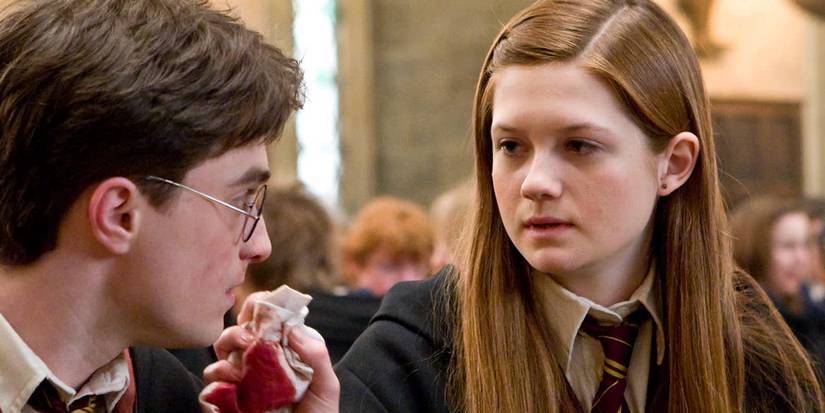 Harry Potter's Family Tree, Explained