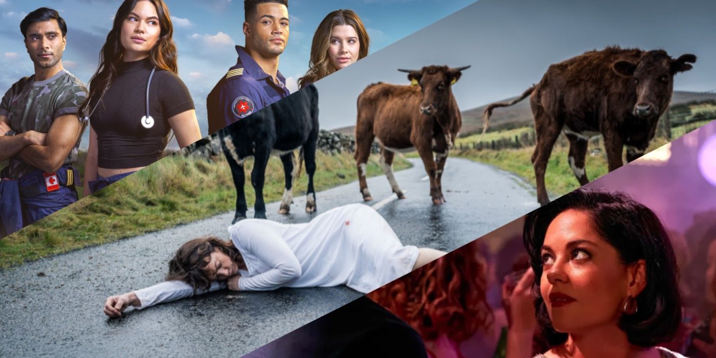 Every TV Series Coming to Major Streaming Services in January 2024