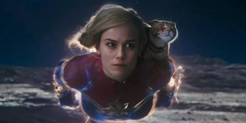 The Best Animal Sidekicks in Movies, Ranked