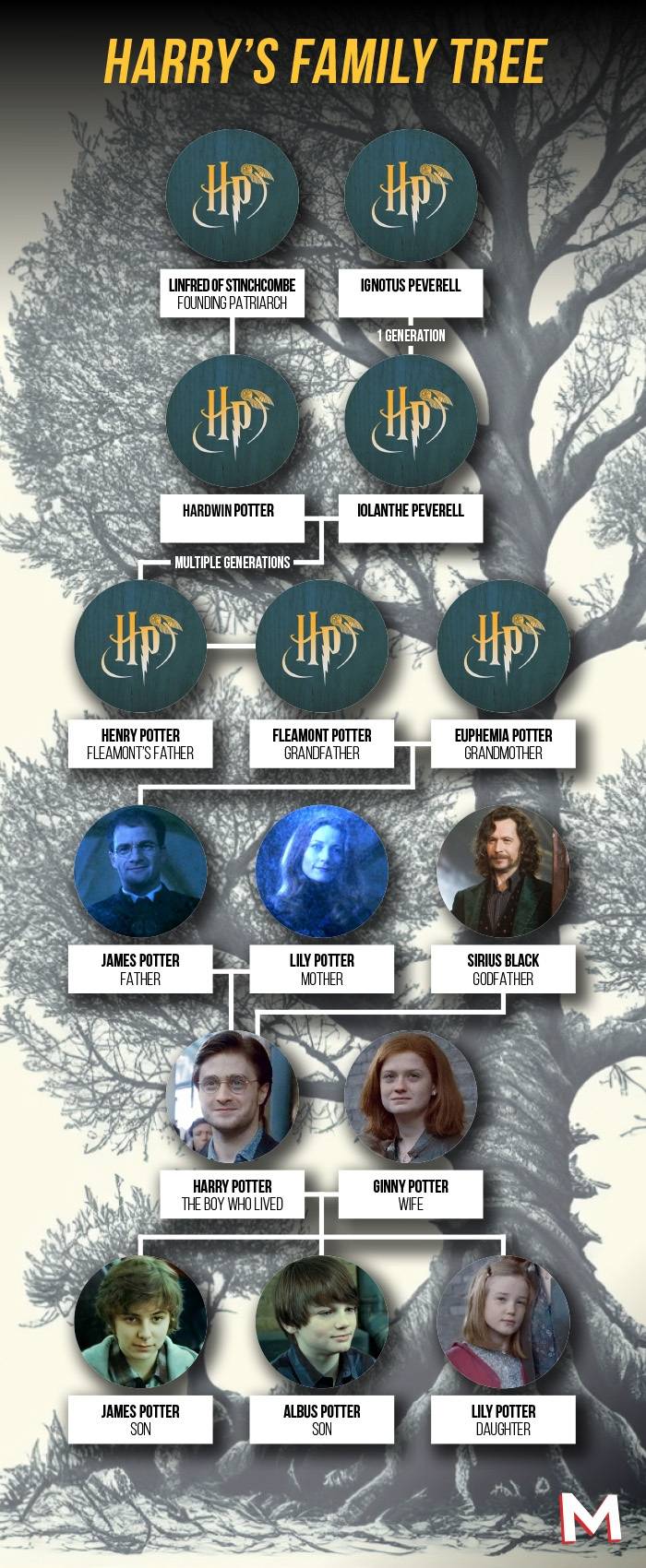 Harry Potter's Family Tree, Explained