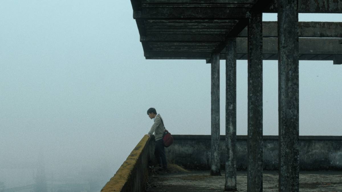 Inside the Yellow Cocoon Shell Review