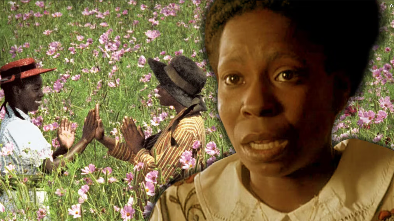 The Color Purple Controversy in 1985, Explained