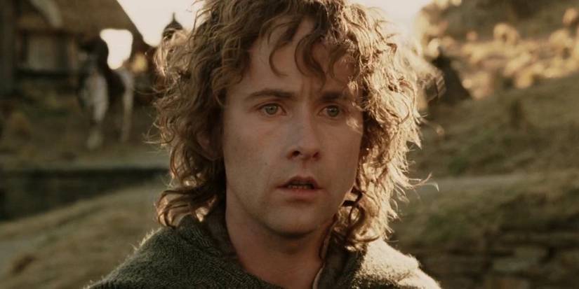How Old Are the Fellowship Members in 'Lord of the Rings'?