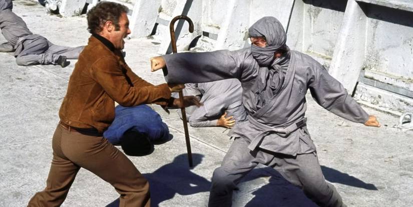 The Best Movies About Ninjas, Ranked