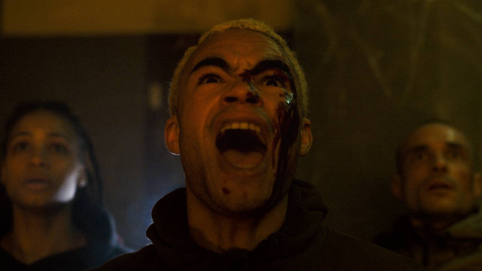 Infested Review | The Scariest Killer Spider Movie We've Seen in Years
