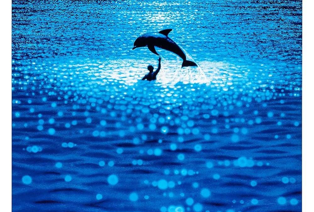 The Big Blue | MovieWeb