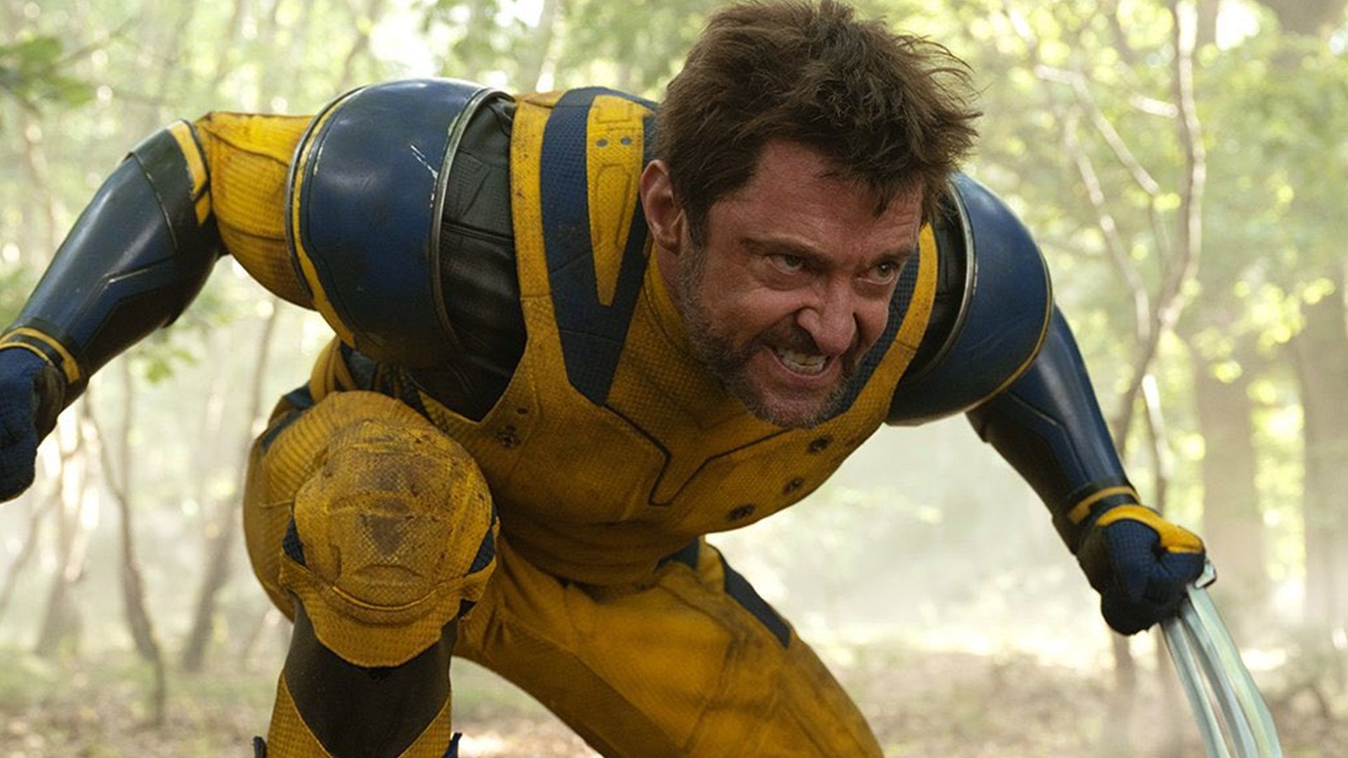 MCU Concept Trailer Finally Shows Hugh Jackman’s Wolverine Versus Mark Ruffalo’s Hulk