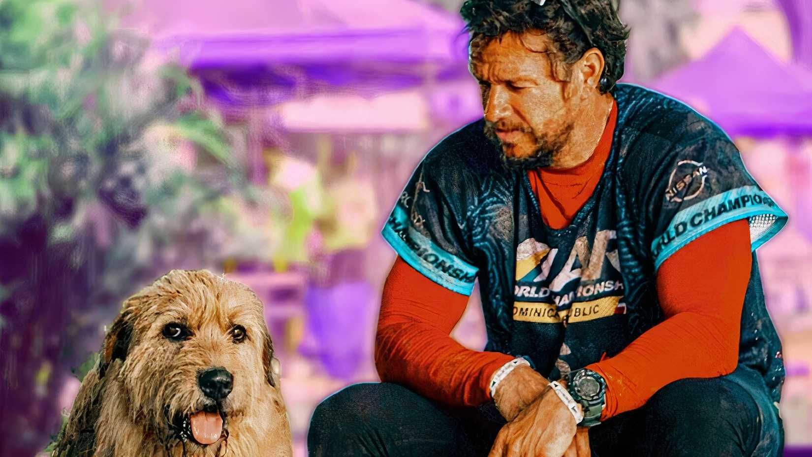 Arthur the King Doggy Praised by Mark Wahlberg and Simu Liu