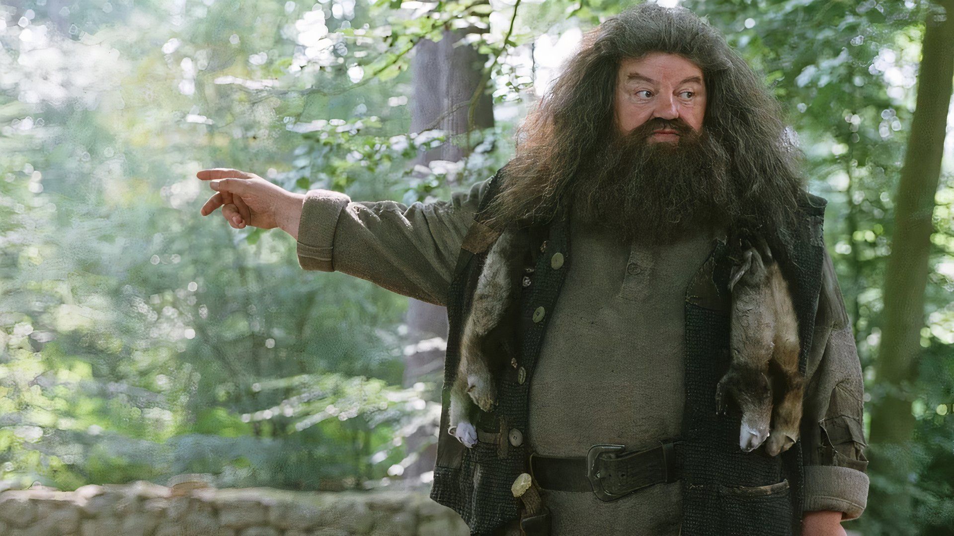 New 'Harry Potter' Star Nick Frost Wants Hagrid To Be Different From ...